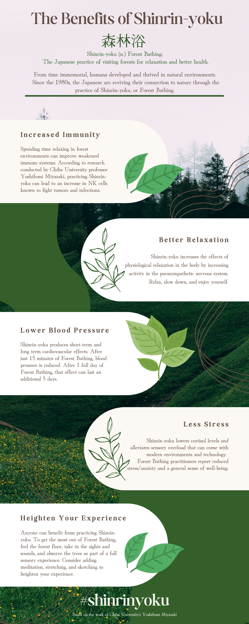 THE BENEFITS OF SHINRIN-YOKU – Amy Mirai Dillon